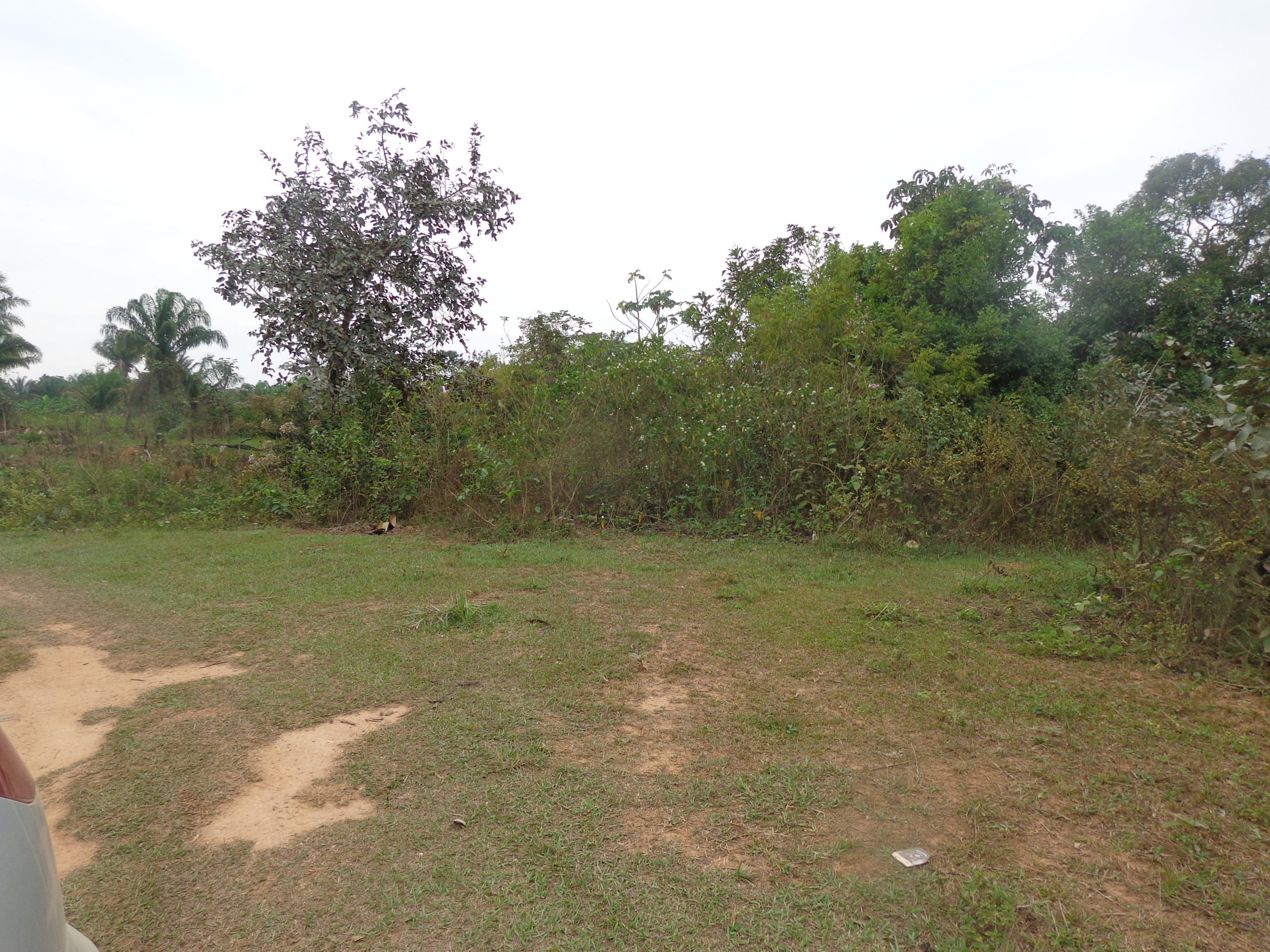 LOTE DE TERRENO EN VENTA REYES - BENI Bs146.262 - BDP - SAM