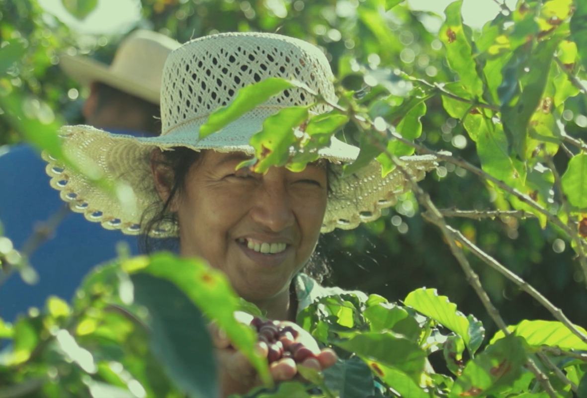 El BDP moderniza su tecnología crediticia con las fichas Iñarandú, en beneficio de los ...