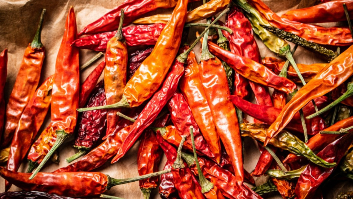 El BDP-SAM impulsa el desarrollo y la inclusión de más de 28.800 productores en Chuquisaca - BDP ...