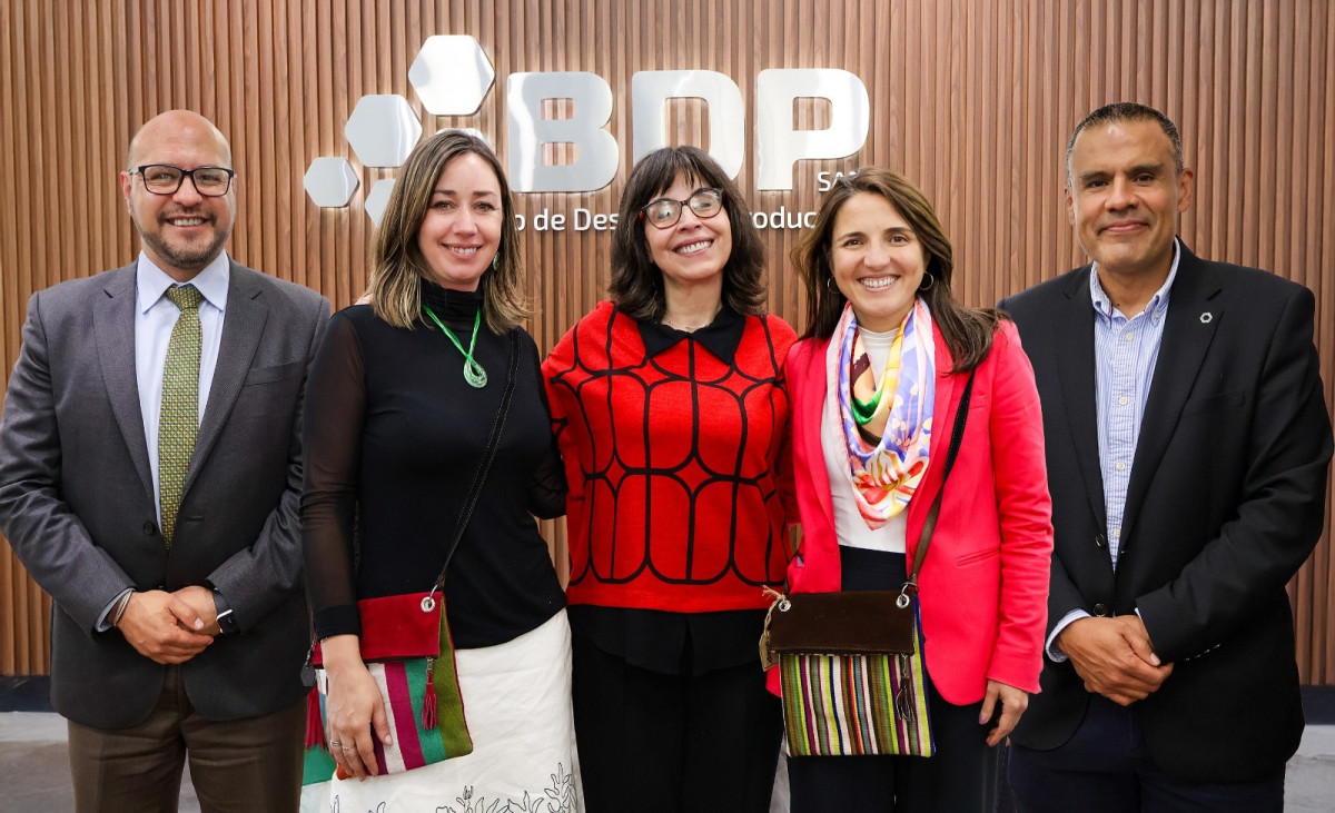 BDP-SAM y DID fortalecen alianza por una banca inclusiva y sostenible ...